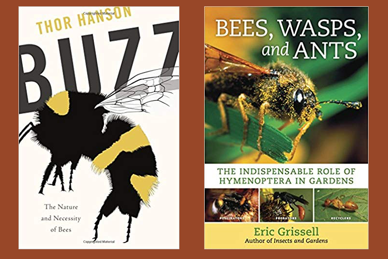 Those Bees and Bugs - PlanetNancy • Ideas in Orbit